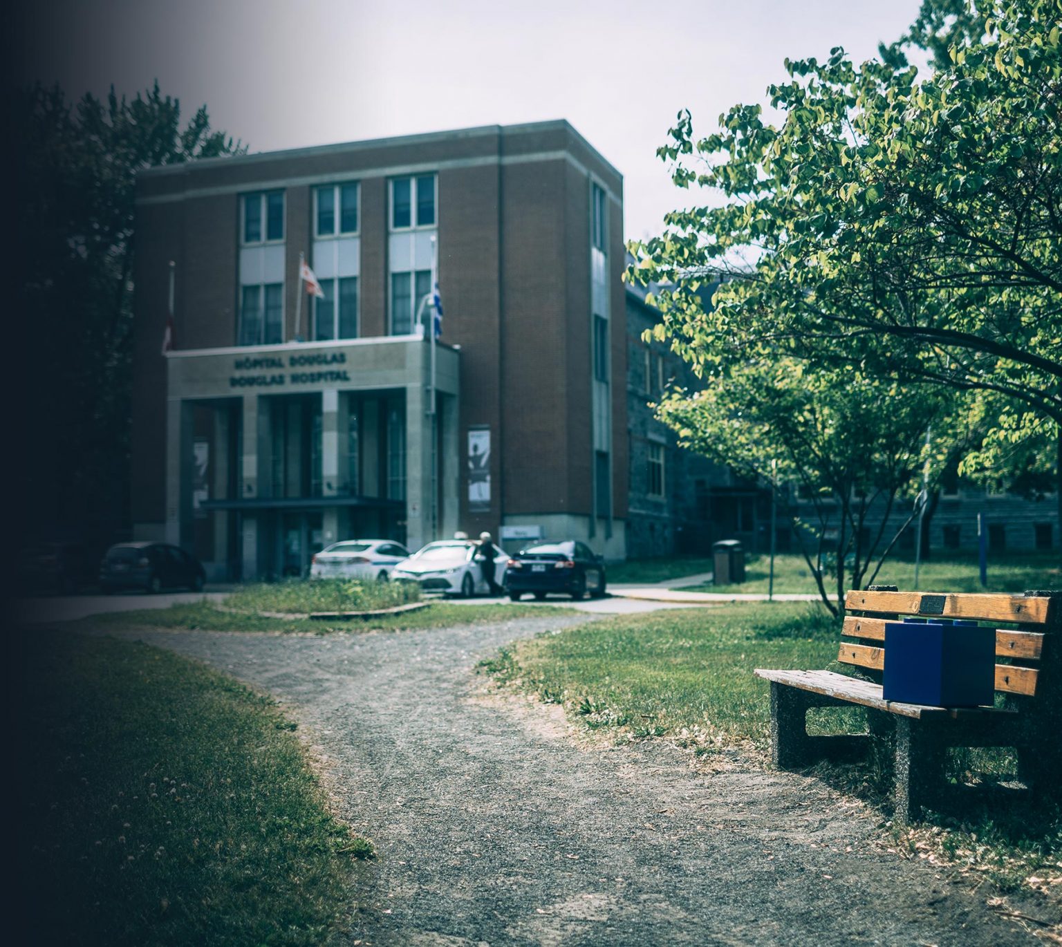 At the center of research on mental illnesses | Douglas Foundation